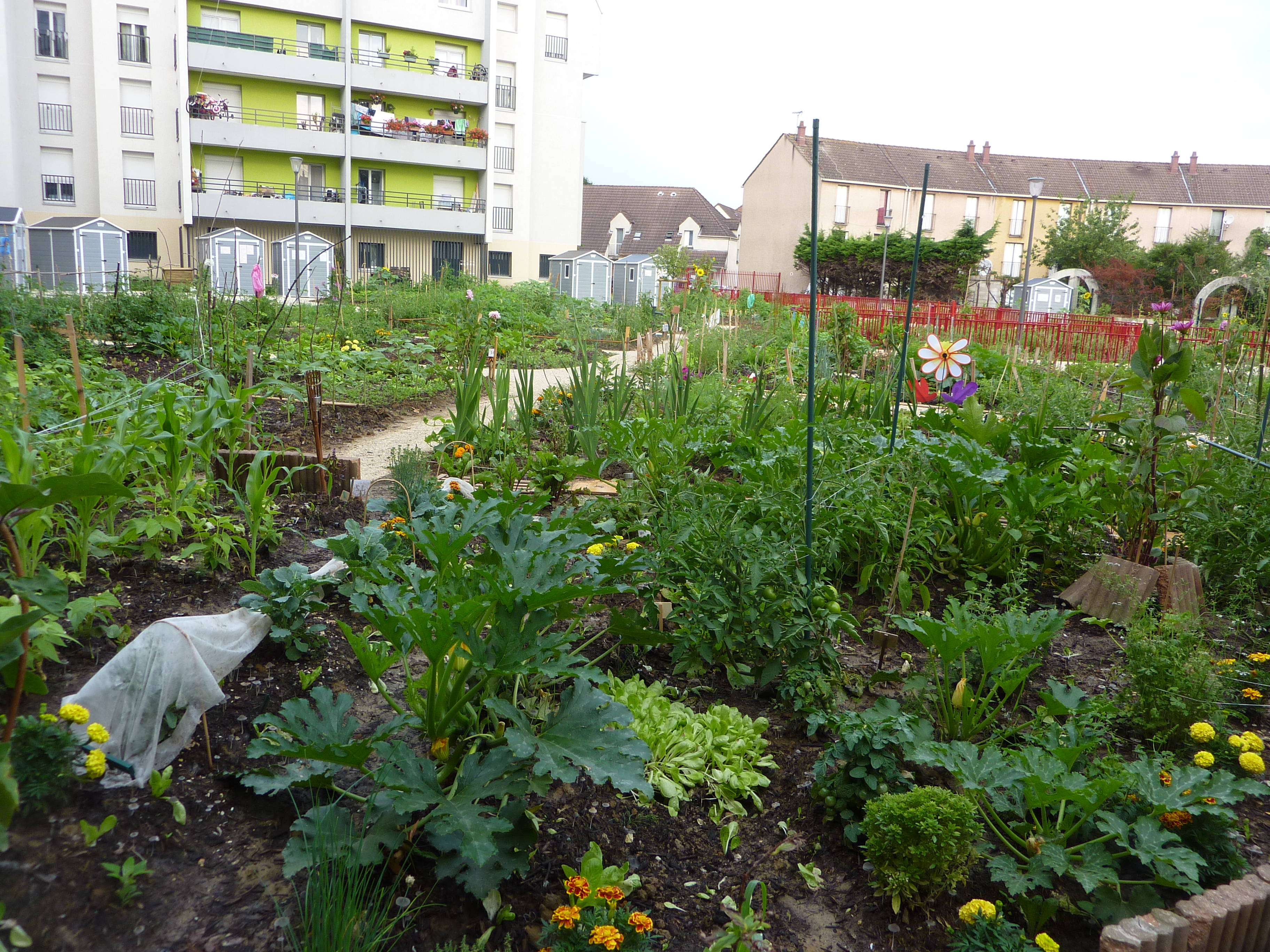 Jardins Partagés | Aulnaycap